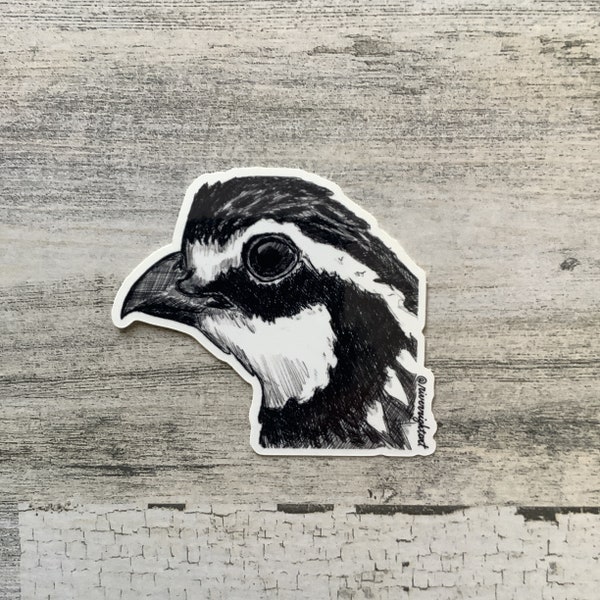 Quail Stickers - Etsy