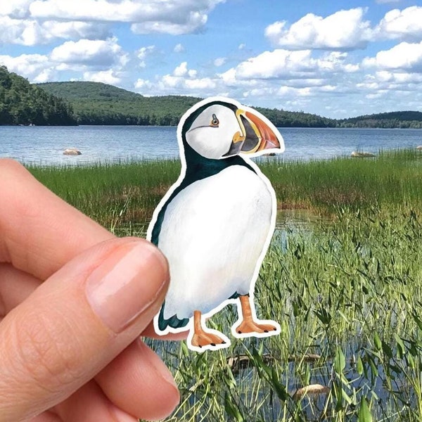 Atlantic Puffin - Etsy