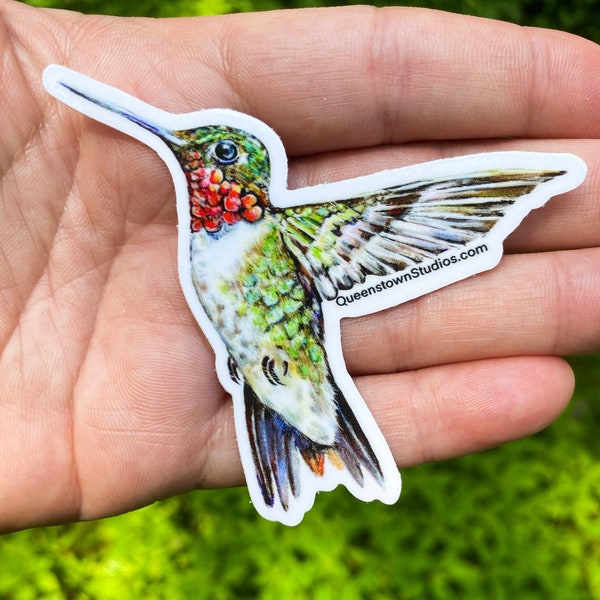 Hummingbird Sticker - Etsy
