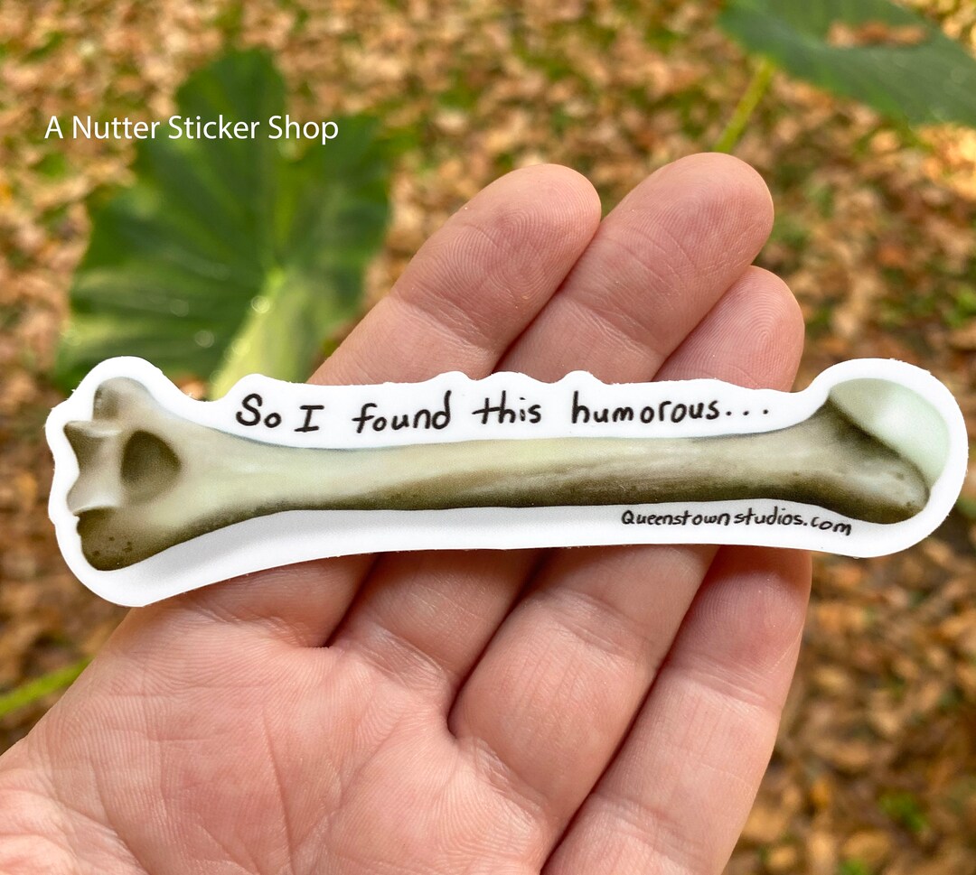 Humerus Bone Vinyl Sticker, Funny Bone, Humorous Anatomy Decal for ...