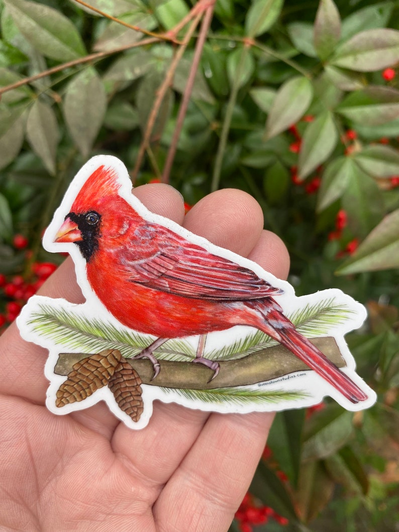 Red Cardinal Bird Vinyl Sticker, Bird Watching Gift, Birding Gifts ...