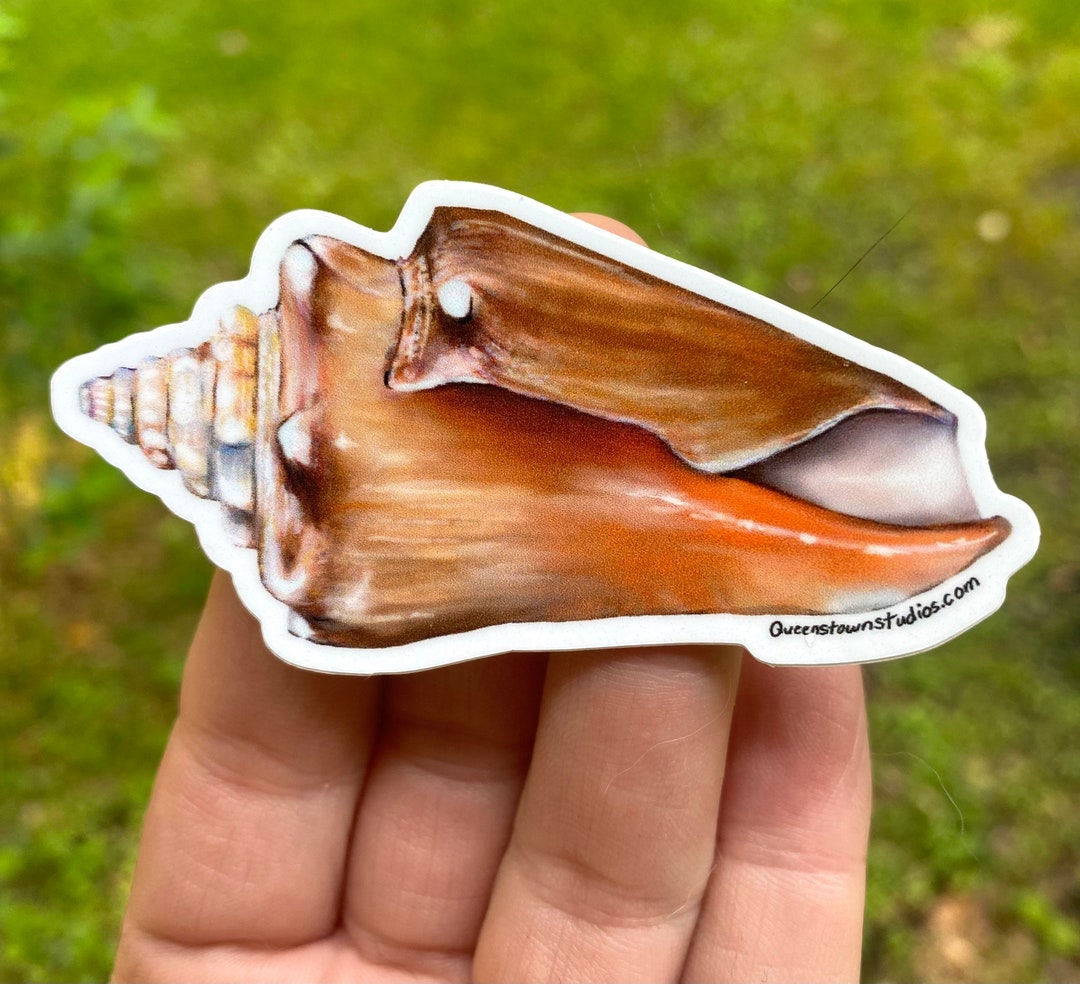 Shell Vinyl Sticker, Fighting Conch, for Laptop, Hydro Flask, Travel ...