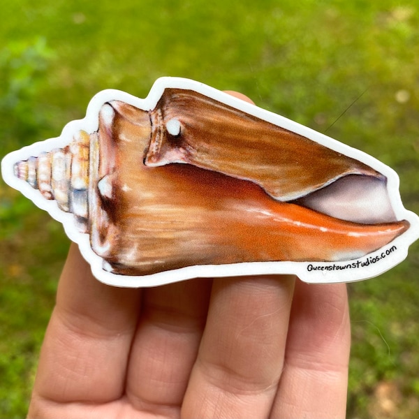 Conch Shell Art - Etsy