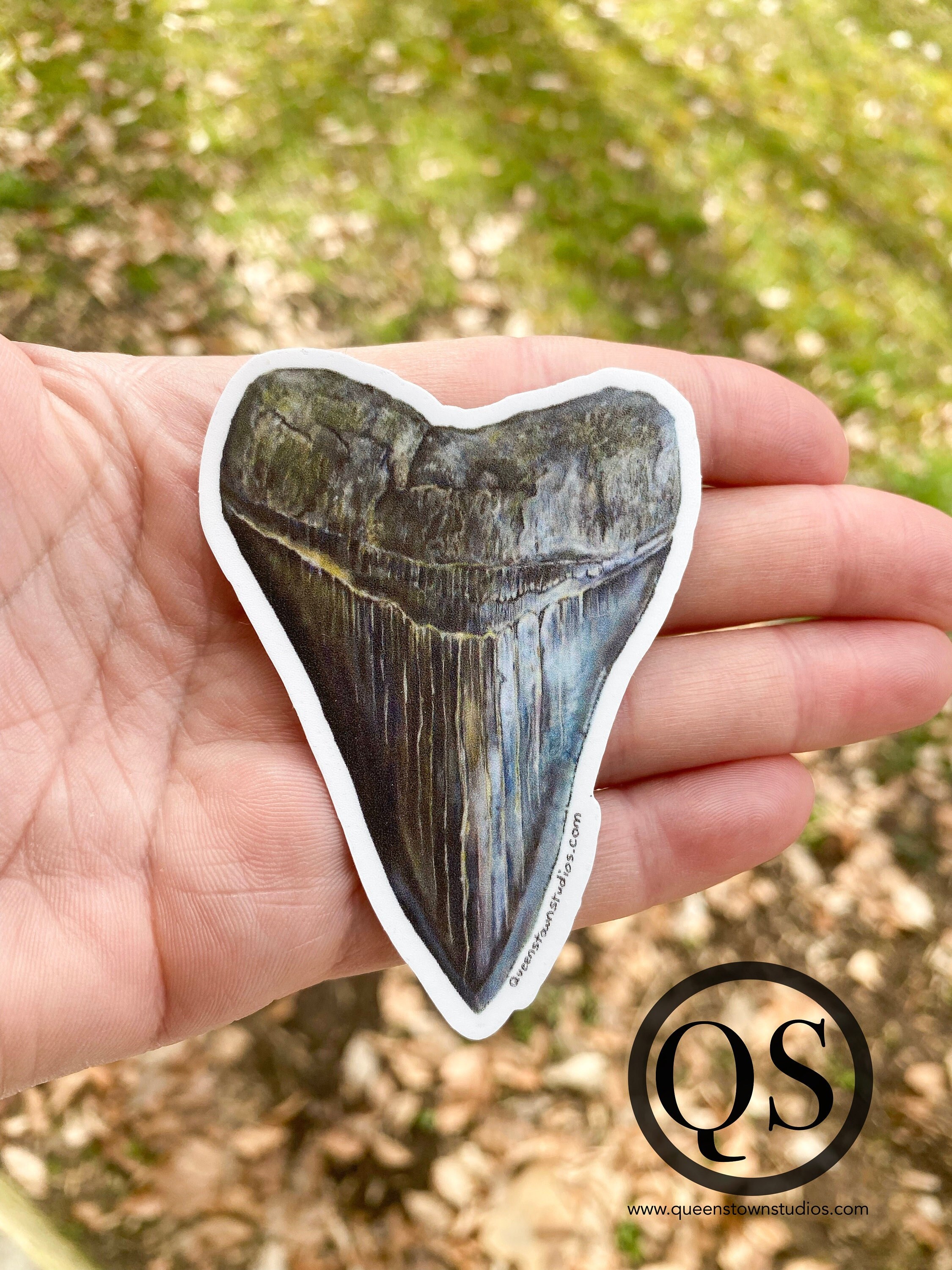 Megalodon Shark Tooth Vinyl Sticker, Fossil Decal, Fossil Collector ...