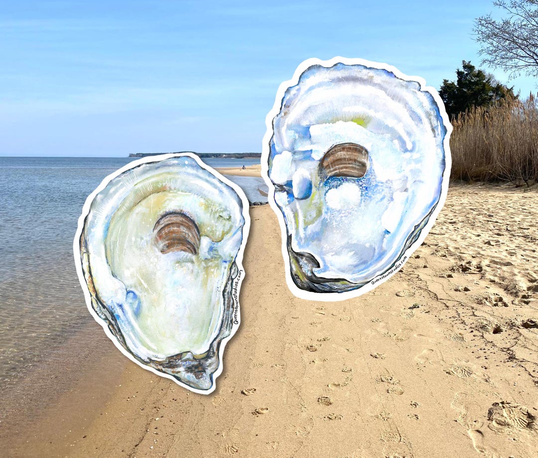 Oyster Shell Vinyl Sticker, TWO STICKER SET, Coastal Classy, Fine Art ...