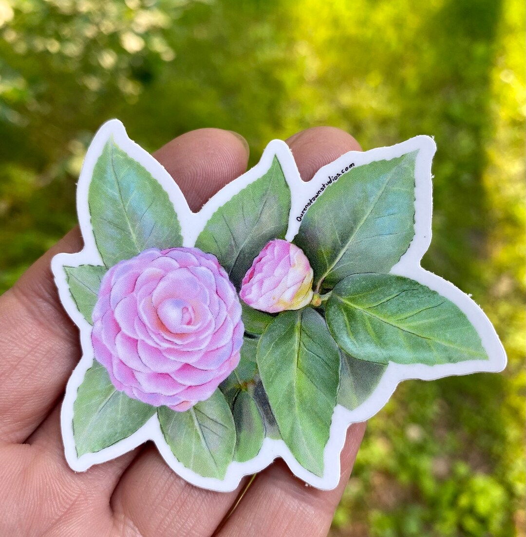 Pink Camelia Flower Sticker, Floral Stickers, Botanical Decal, Pastel ...