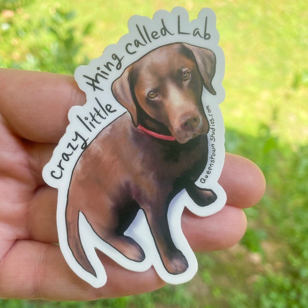 Chocolate Lab - Etsy