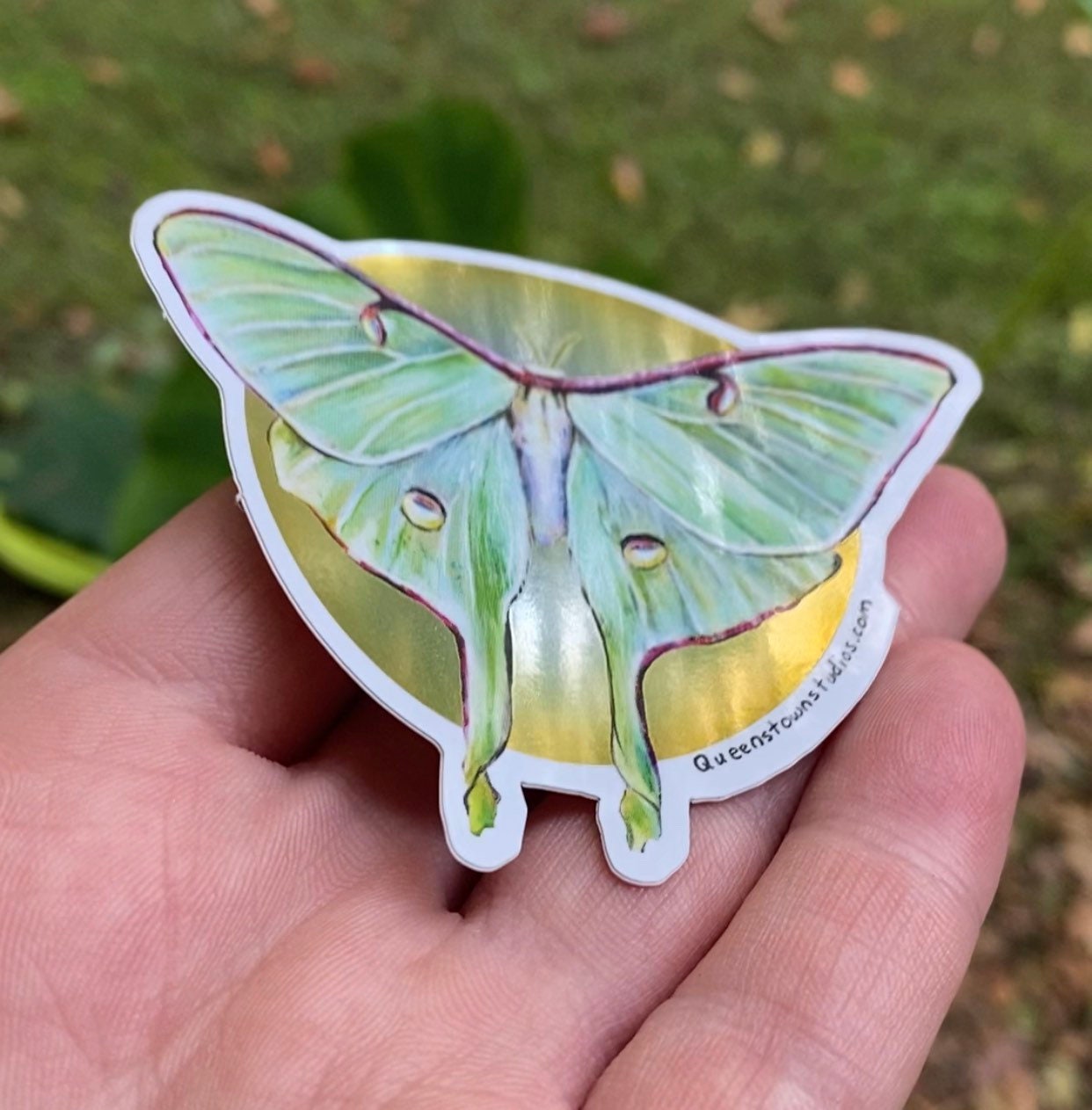Luna Moth Sticker Gold Sticker Vinyl Sticker Moth Decal - Etsy