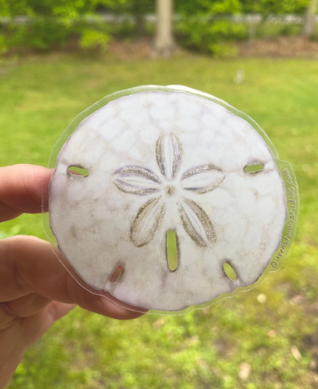 Sand Dollar Sticker, Waterproof Vinyl Sticker, Clear Sticker, Laptop ...
