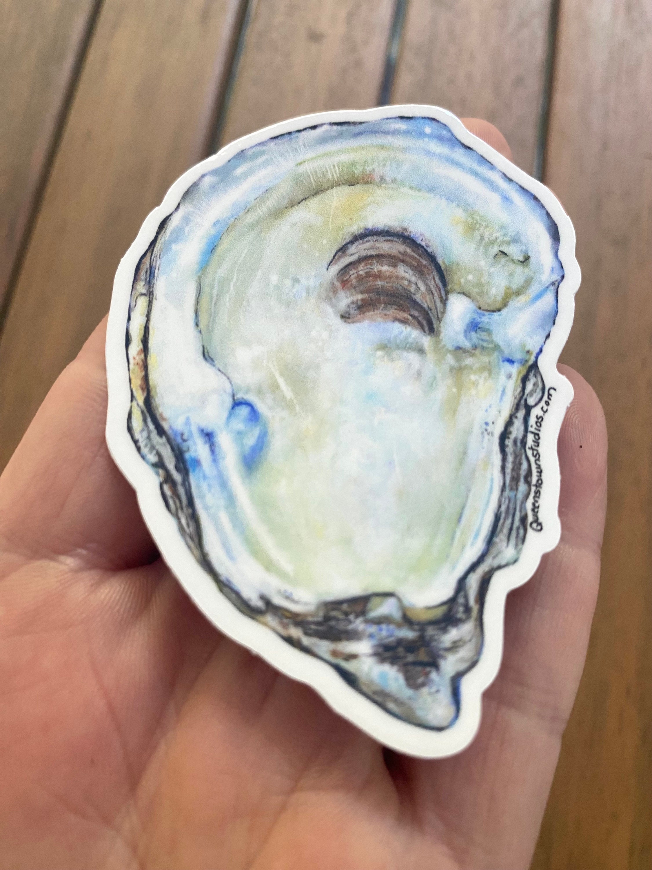 Beautiful Oyster Shell Vinyl Sticker, Coastal Art, Fine Art Decal From ...