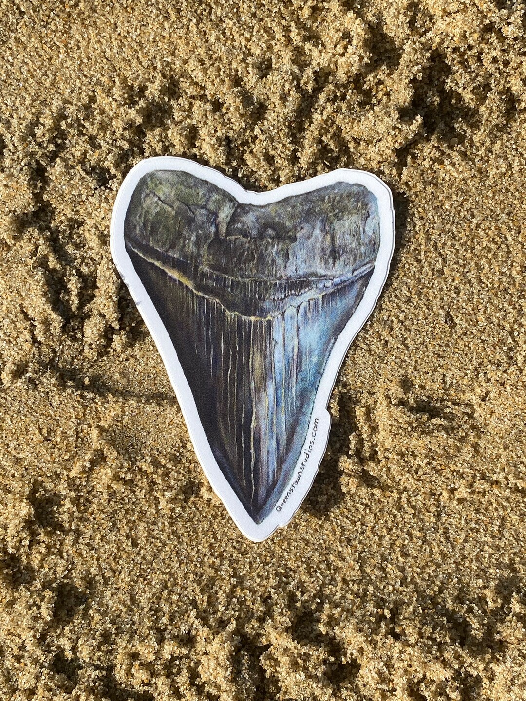 Megalodon Shark Tooth Vinyl Sticker, Fossil Decal, Fossil Collector ...