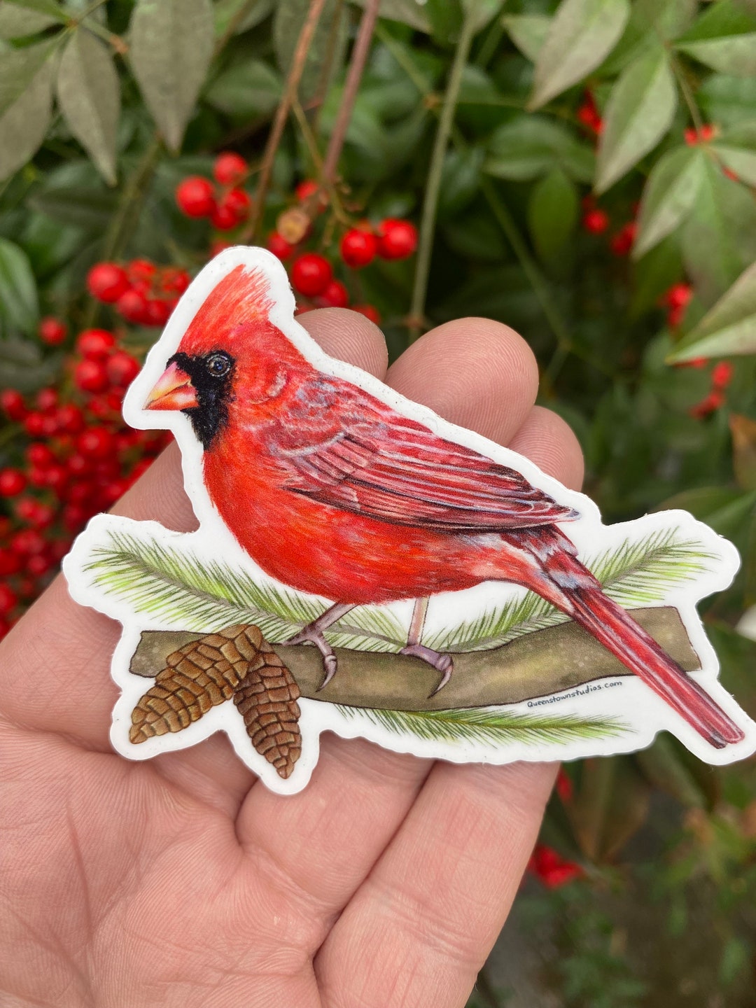 Red Cardinal Bird Vinyl Sticker, Bird Watching Gift, Birding Gifts ...