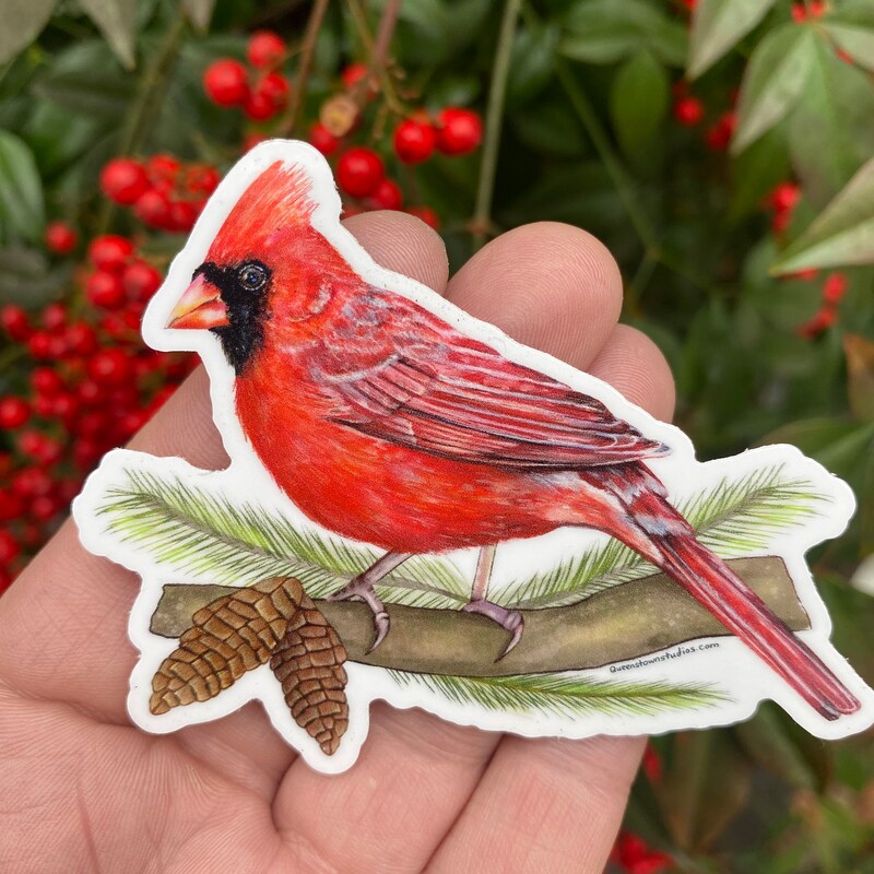 Cardinal Decal - Etsy