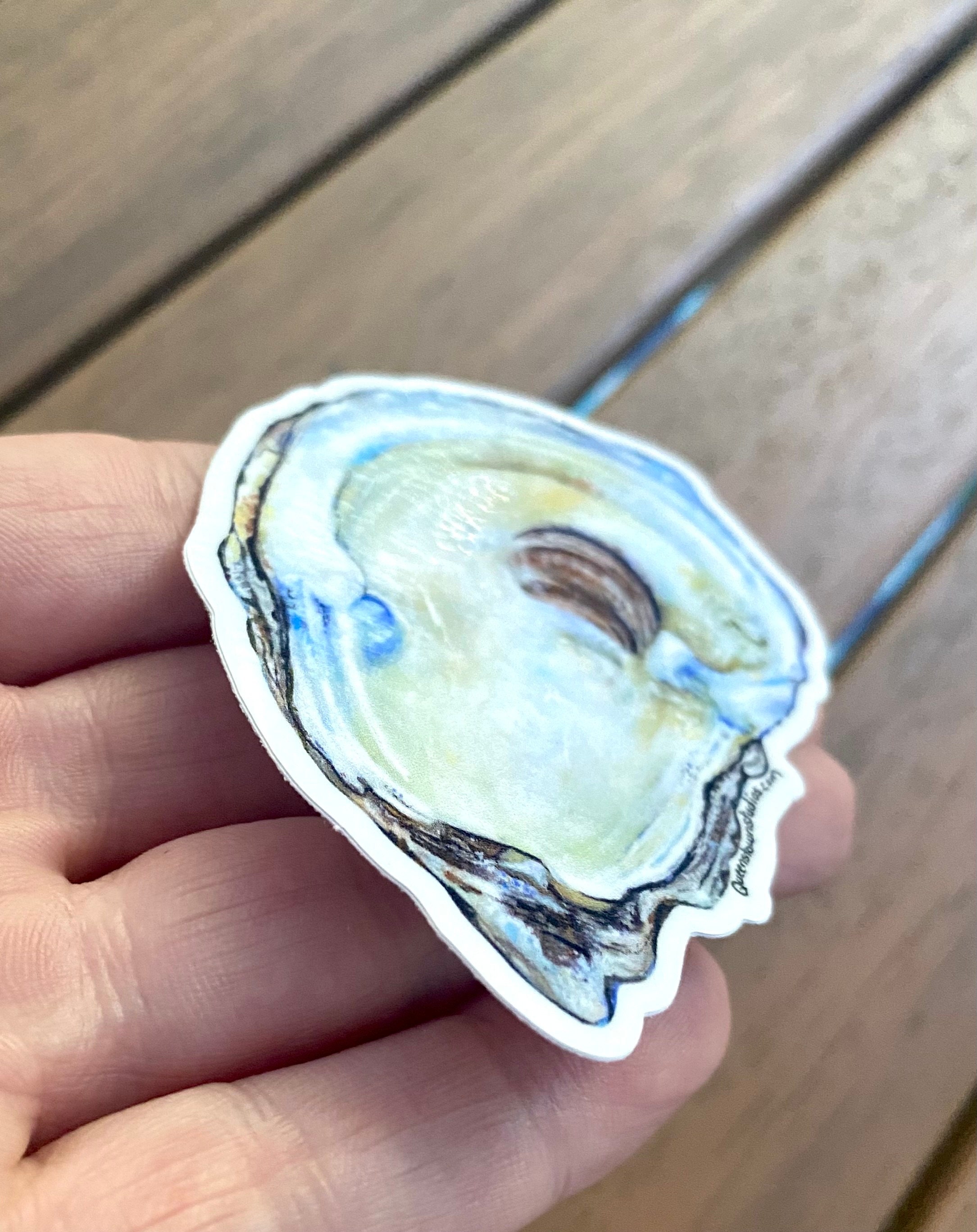 Beautiful Oyster Shell Vinyl Sticker, Coastal Art, Fine Art Decal From ...