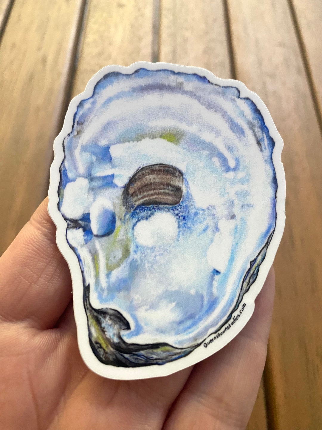 Oyster Shell Vinyl Sticker Coastal Art Blue Colors Fine Art - Etsy