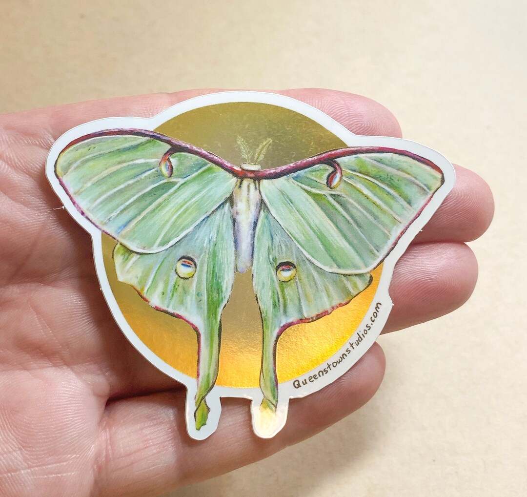 Luna Moth Sticker, Gold Sticker, Vinyl Sticker, Moth Decal, Insect ...