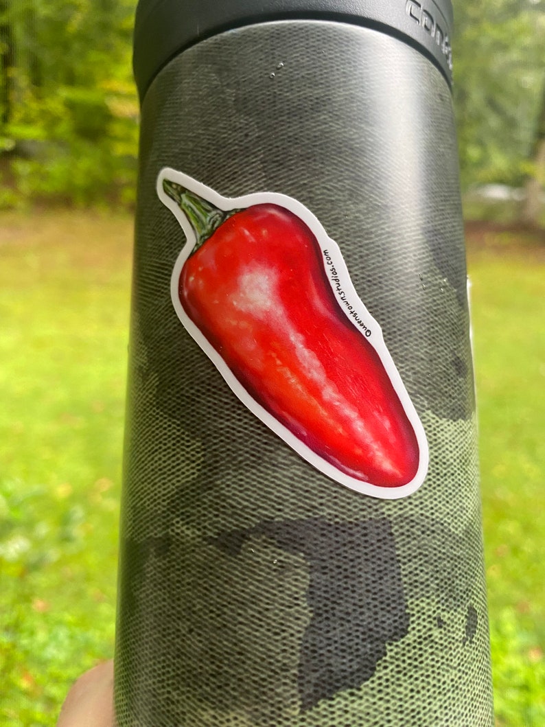 Spicy Red Pepper Vinyl Sticker, Waterproof, for Hot Sauce Ferment ...