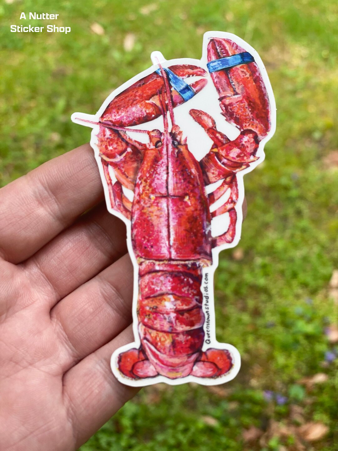 Watercolor Cooked Lobster Vinyl Sticker, Laptop Sticker, New England ...