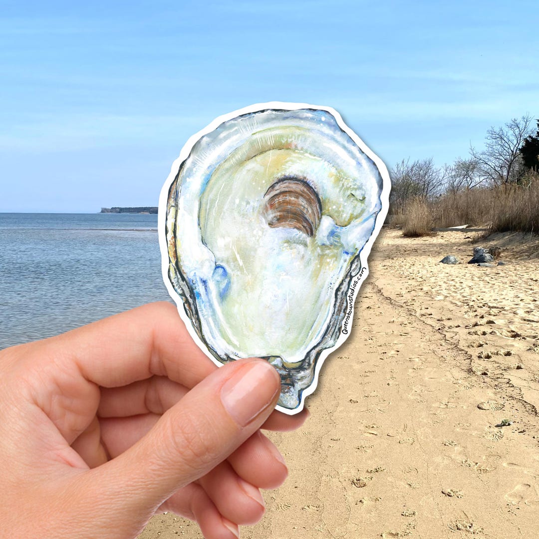 Beautiful Oyster Shell Vinyl Sticker, Coastal Art, Fine Art Decal From ...