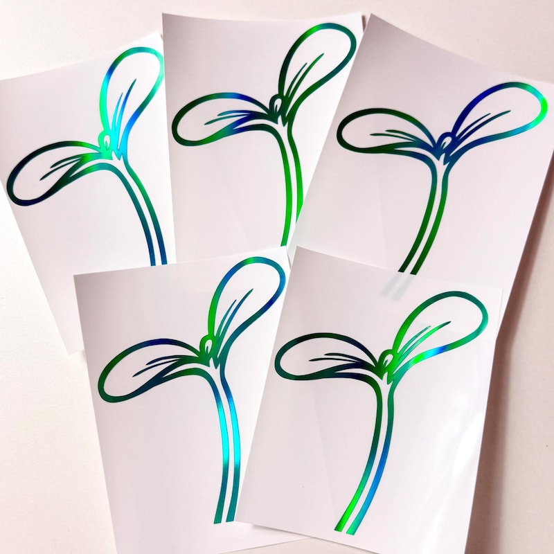 Sprouts for Festival - Etsy