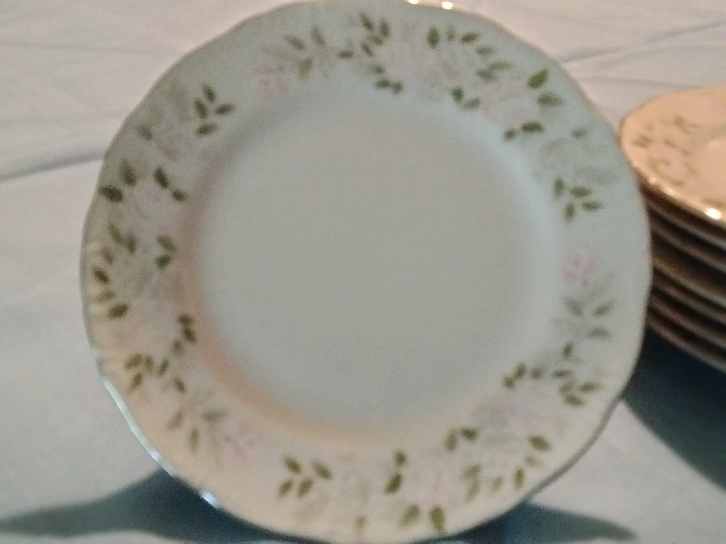 Vintage Sheffield Fine China Japan Classic 501 - Etsy