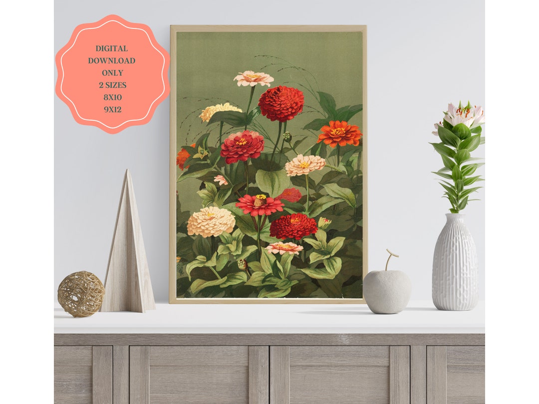 Zinnias Print, Flower Vintage Print, Old Floral Decor, Antique Science ...