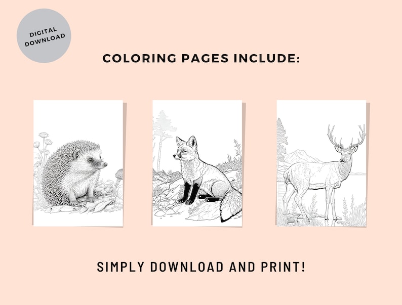 13 Woodland Animal Coloring Pages Woodland Animals Coloring Pages ...