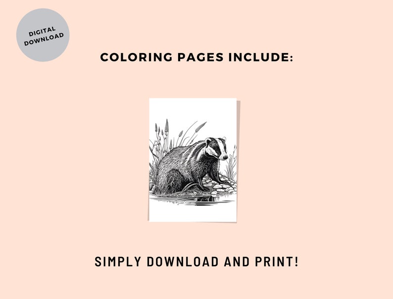 13 Woodland Animal Coloring Pages Woodland Animals Coloring Pages ...