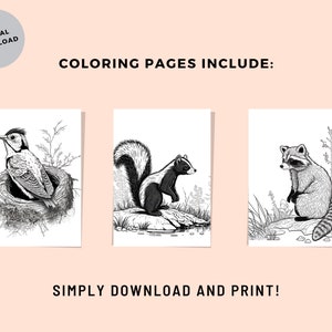 13 Woodland Animal Coloring Pages Woodland Animals Coloring Pages ...