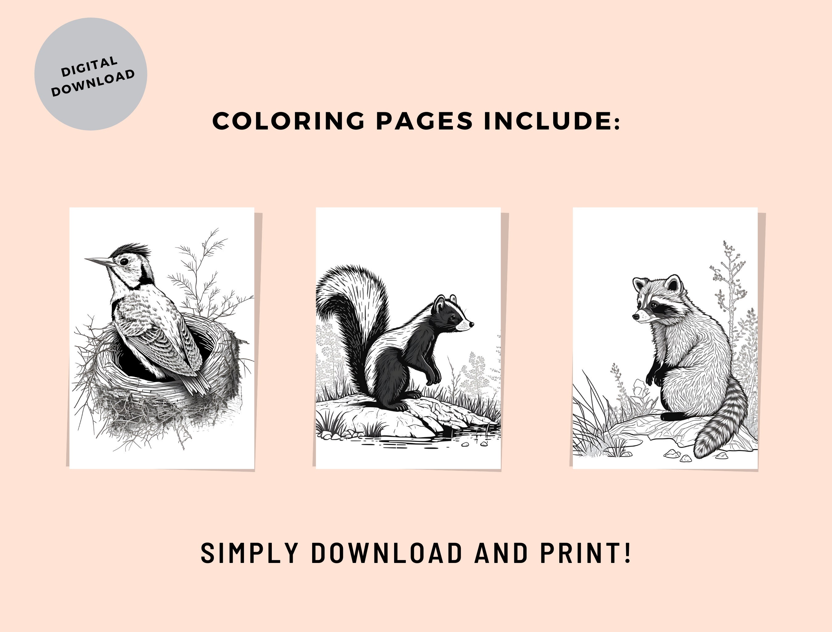 13 Woodland Animal Coloring Pages Woodland Animals Coloring Pages ...