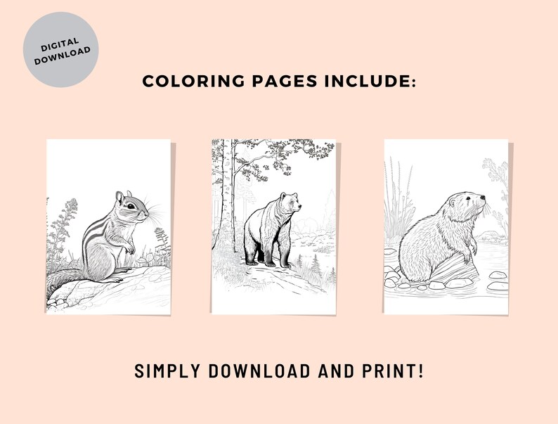 13 Woodland Animal Coloring Pages Woodland Animals Coloring Pages ...