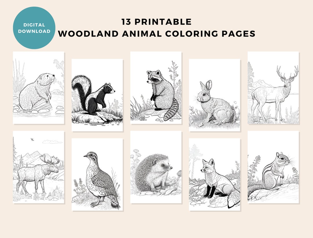 13 Woodland Animal Coloring Pages Woodland Animals Coloring - Etsy Canada