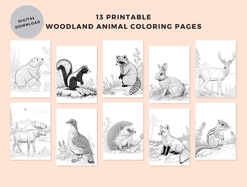 13 Woodland Animal Coloring Pages Woodland Animals Coloring Pages ...