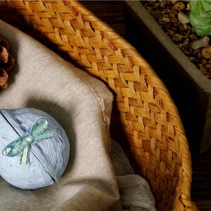 Undersea Roaming Miniature Scenes From Walnut Shells Ship Fast - Etsy