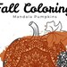 Mandala Pumpkins - Printable Coloring Pages for Adults - Fall and ...