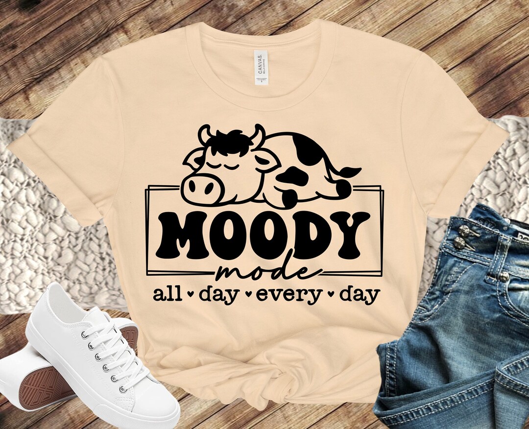 Funny Sarcastic Heat Transfer Decals, Humorous Iron on Decals ...