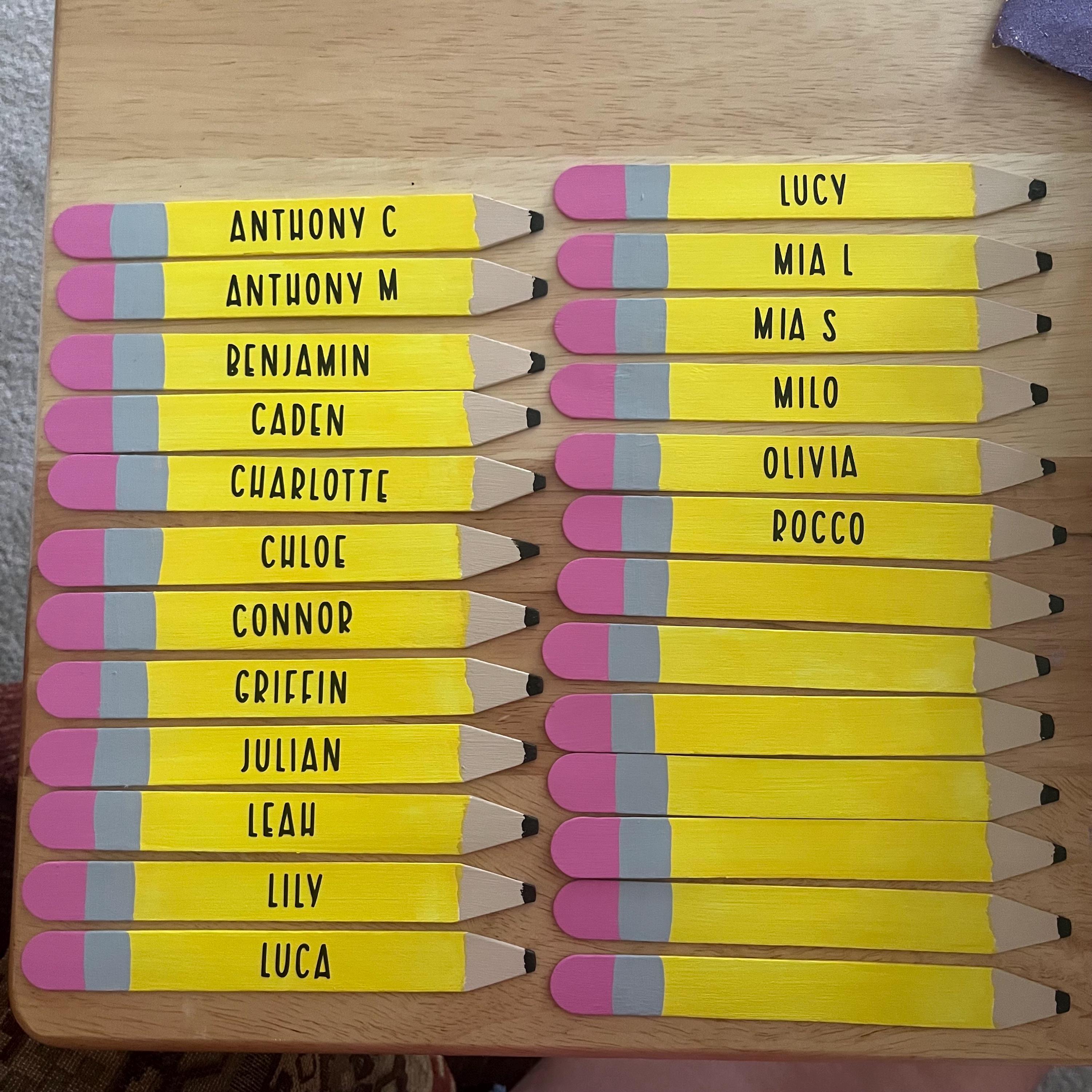 Jumbo Popsicle Pencil Equity Sticks Classroom Management | Flip Sticks ...