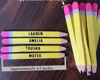 Jumbo Popsicle Pencil Equity Sticks Classroom Management | Flip Sticks ...
