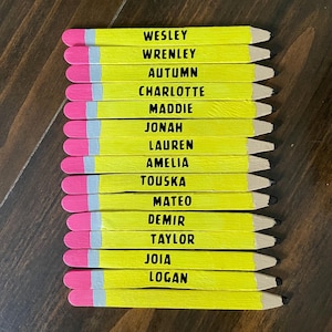 Pencil Equity Sticks | Classroom Management | Flip Sticks | Teacher ...