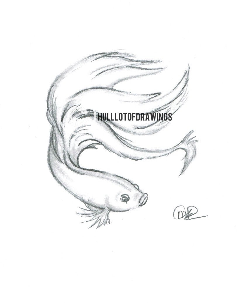 Flowing Fish Pencil Drawing Print, Handmade Wall Art (8.5x11) - Etsy