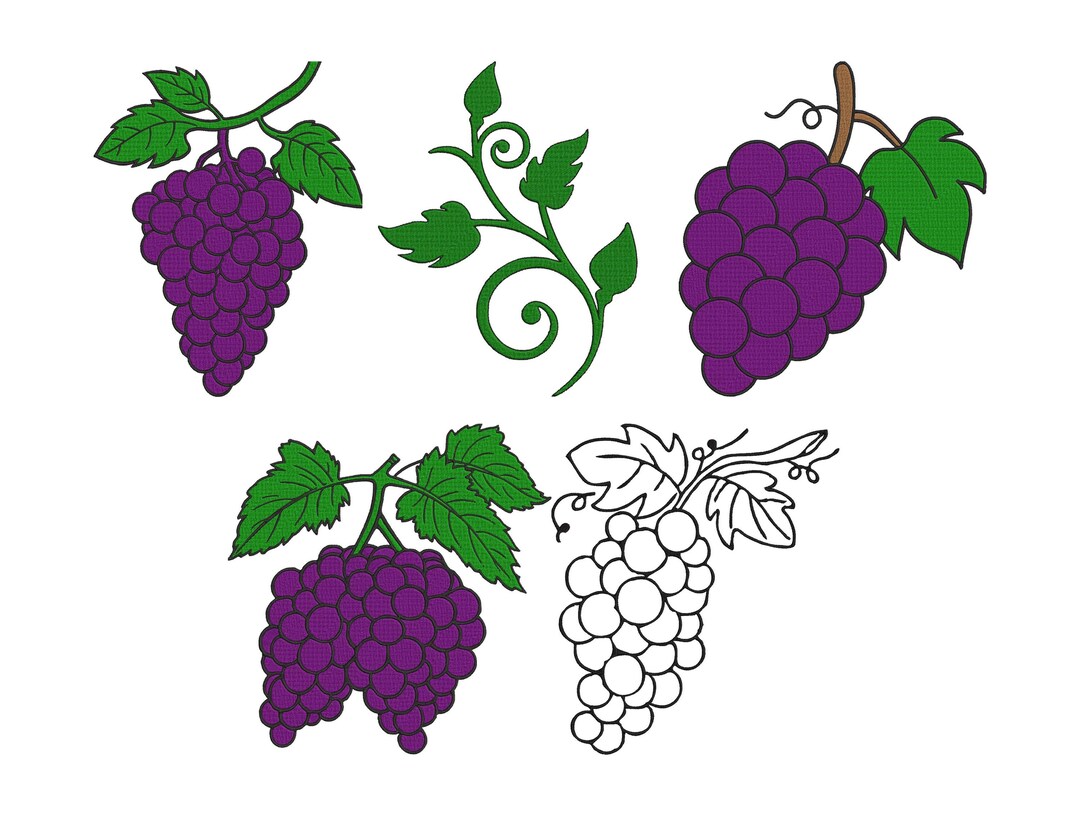 Grapes Embroidery Design, Grapes Bundle Embroidery Design, Grapes ...