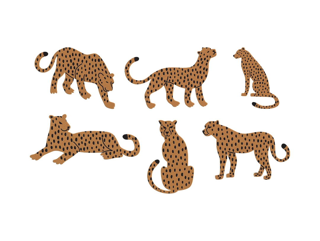 Leopard Bundle Embroidery Design, Leopard Embroidery, Jungle & Safari ...