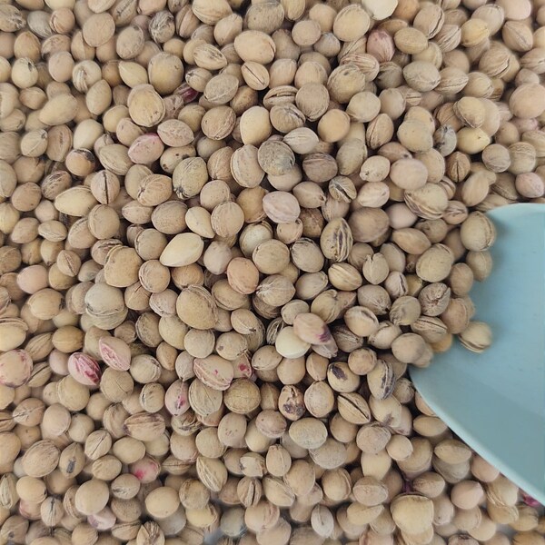 Cherry Pit Pack - Etsy