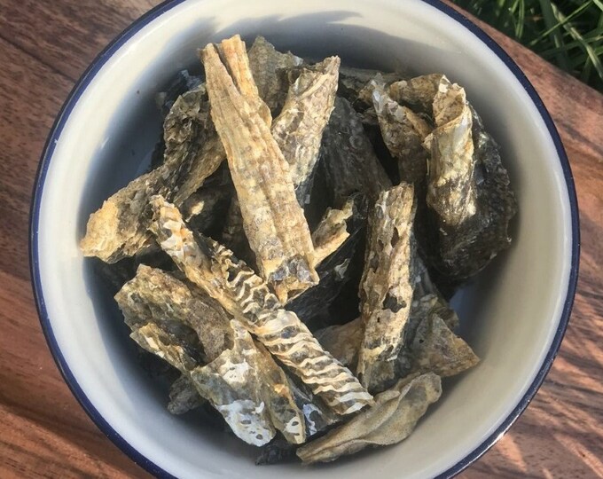 Cod Skins Crisps, Dehydrated Treats for Dogs, Single Ingredient Dog ...