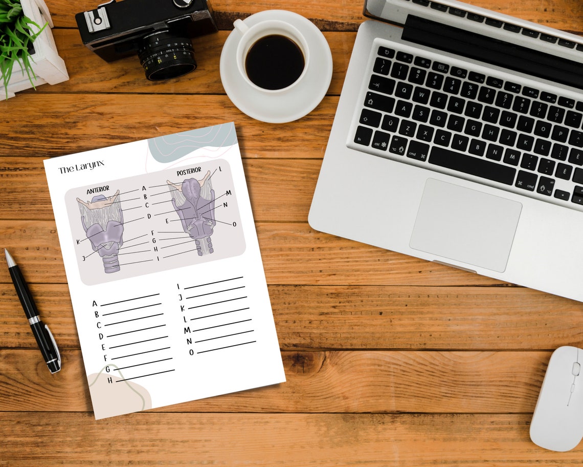 Anatomy of Speech Language Hearing Digital Stickers and - Etsy