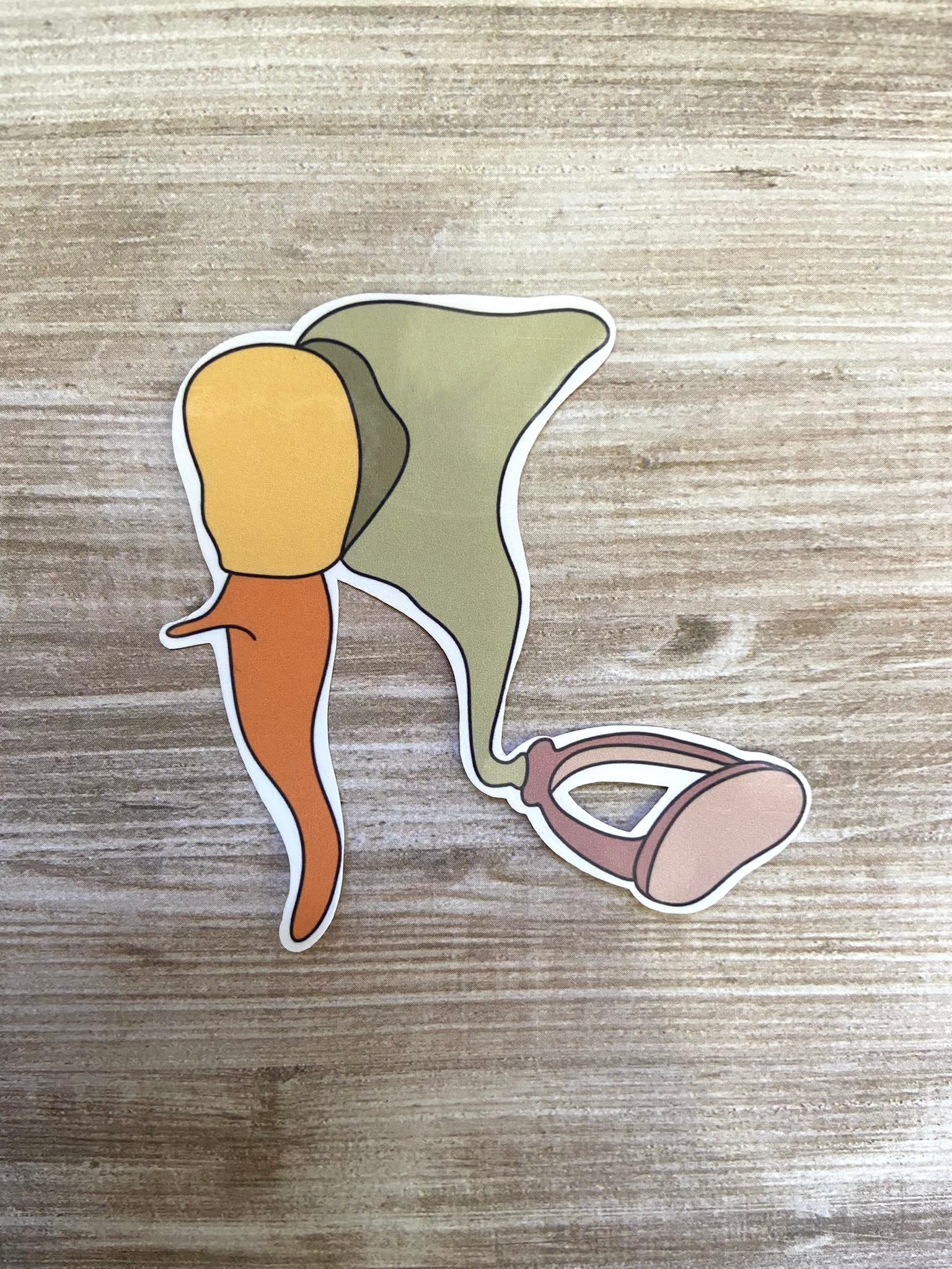 Ossicle Anatomy Sticker Audiology Hearing Loss Middle - Etsy