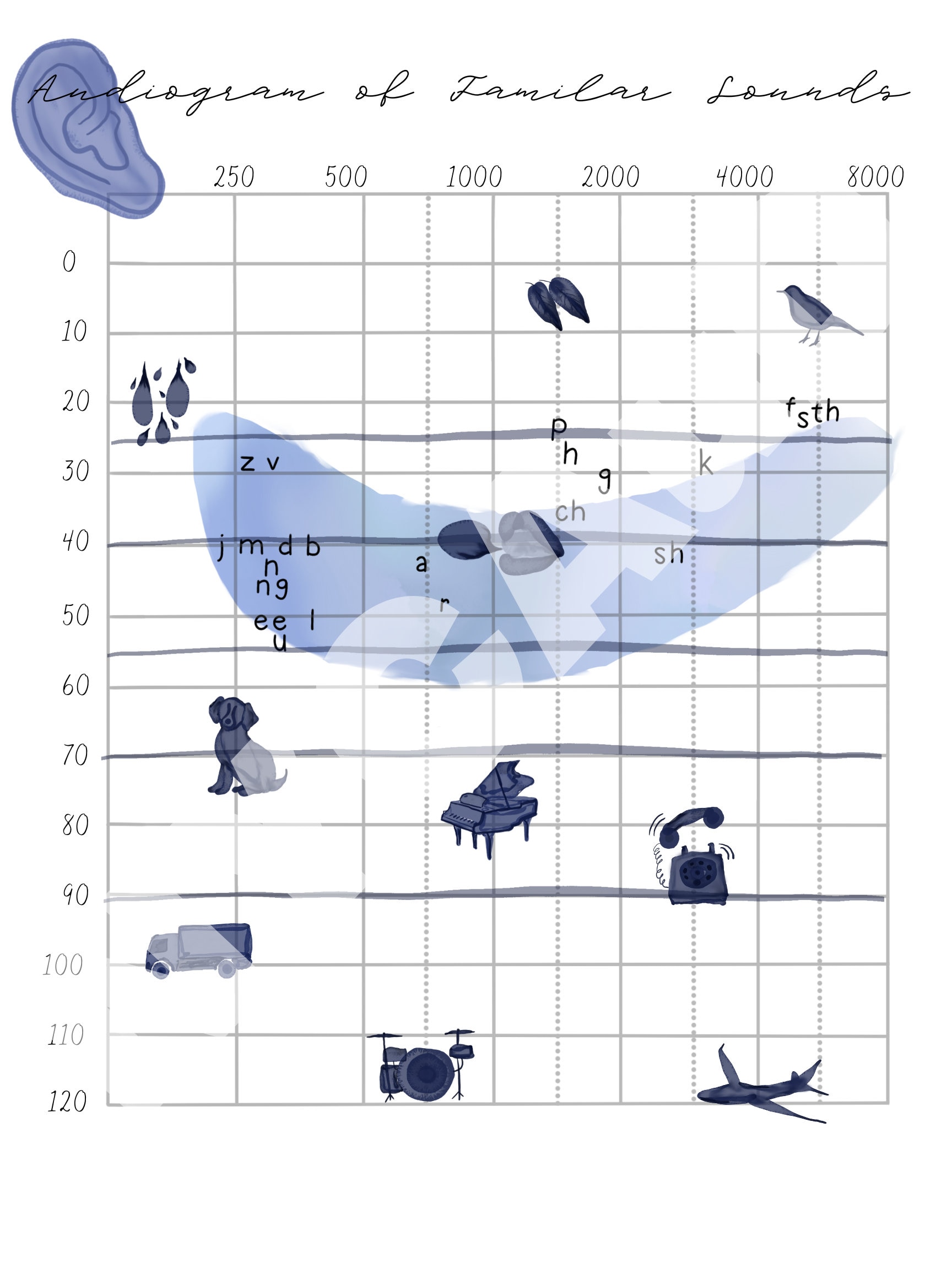 Audiograma descargable de sonidos familiares / Audiología / Póster en ...