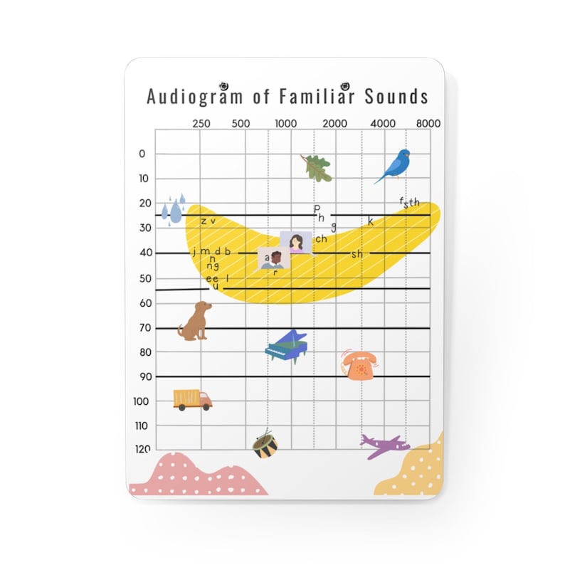 Audiogram of Familiar Sounds Clipboard Audiology Counseling Tool Cheat ...