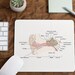 Downloadable Audiogram of Familiar Sounds Audiology Watercolor Poster ...