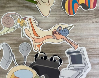 Ear Anatomy Sticker - Etsy